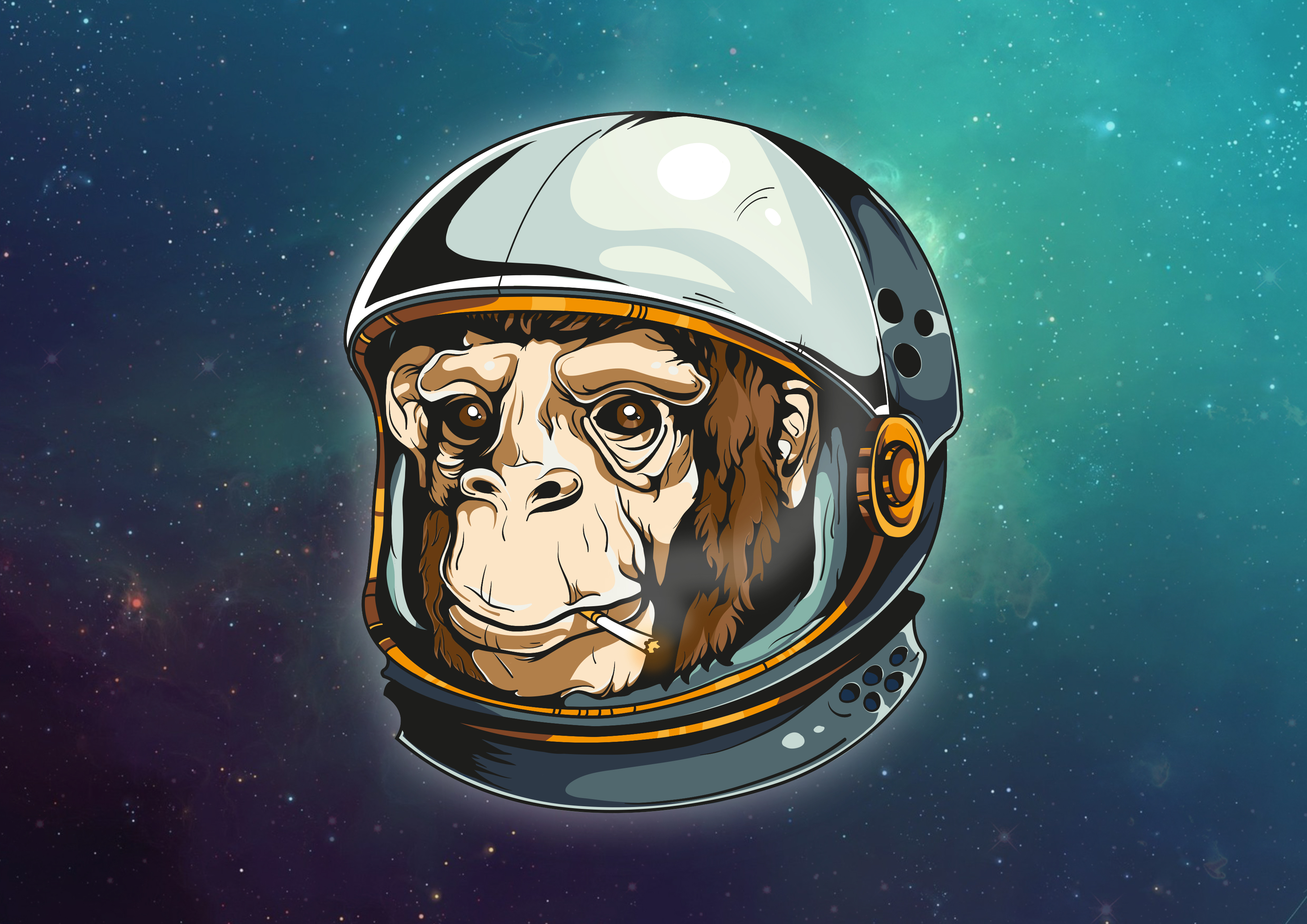 Space Chimp | Domestika